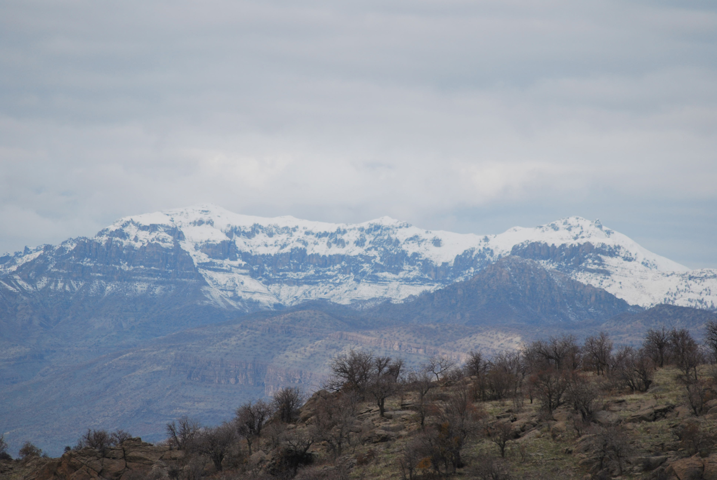 Çiya yê Cudî – Newaya Jin