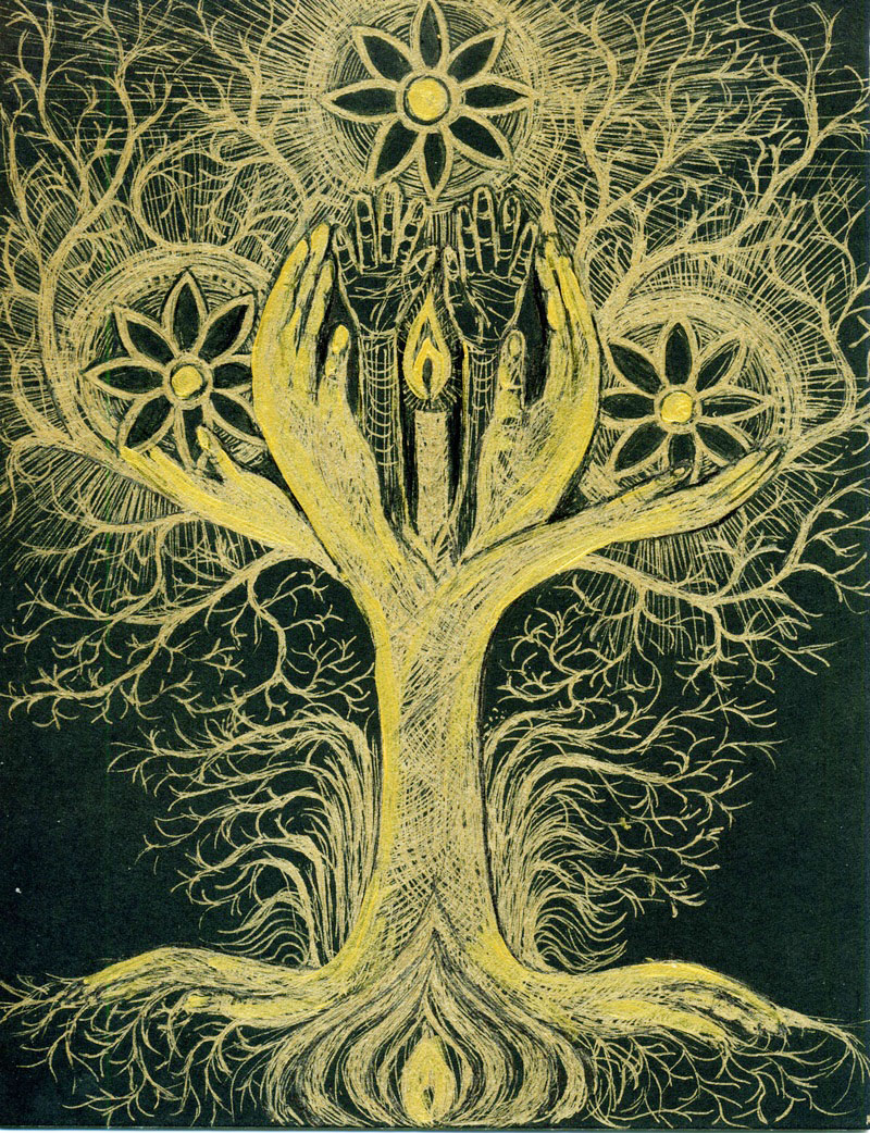 Hakikatin yolu ve yolcusu Jineoloji – Newaya Jin